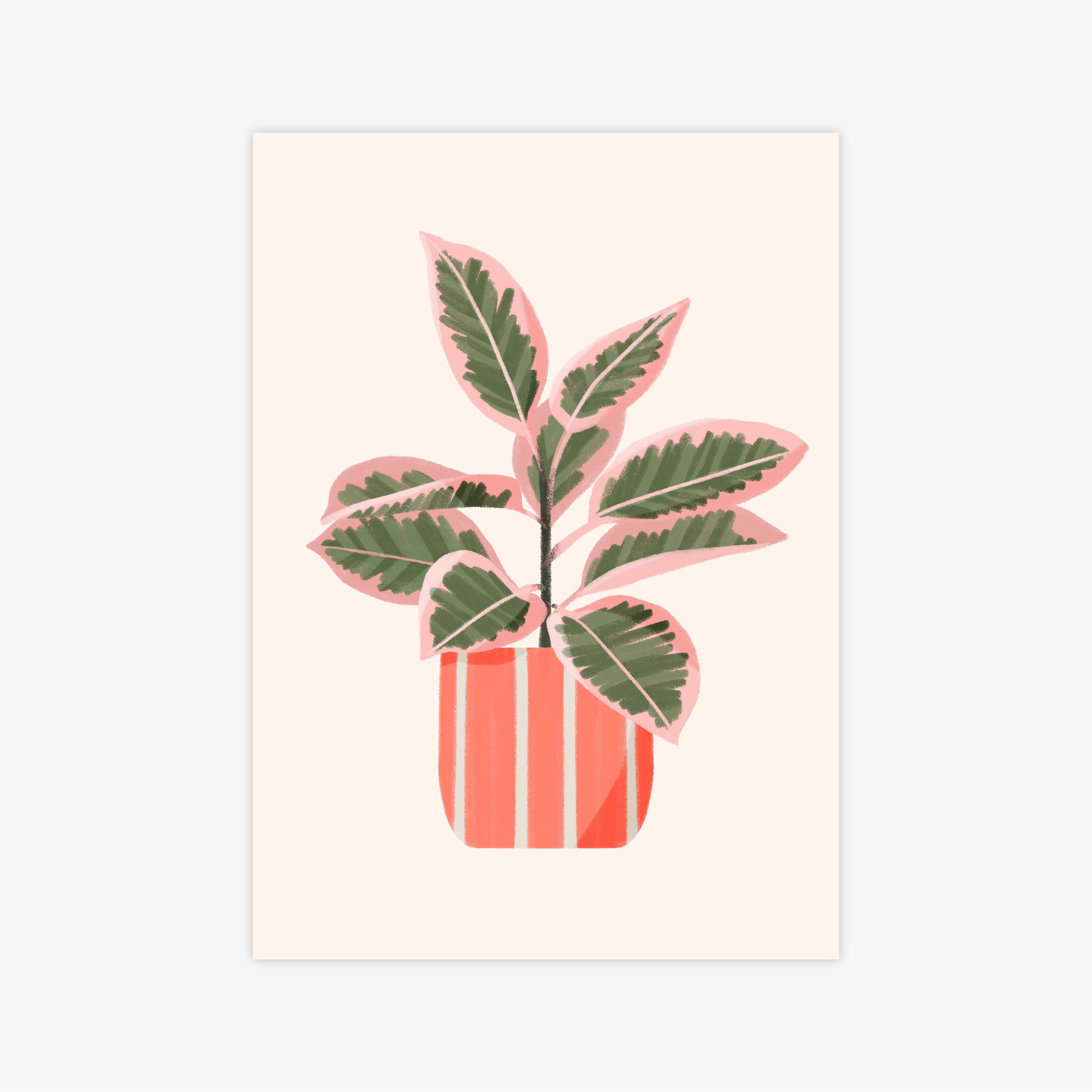 Calathea Pflanze / Print A4, A5 / Svea Hansohn Illustration | selekkt.com